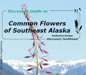 Common flowers of Southeast Alaska | JuneauNature