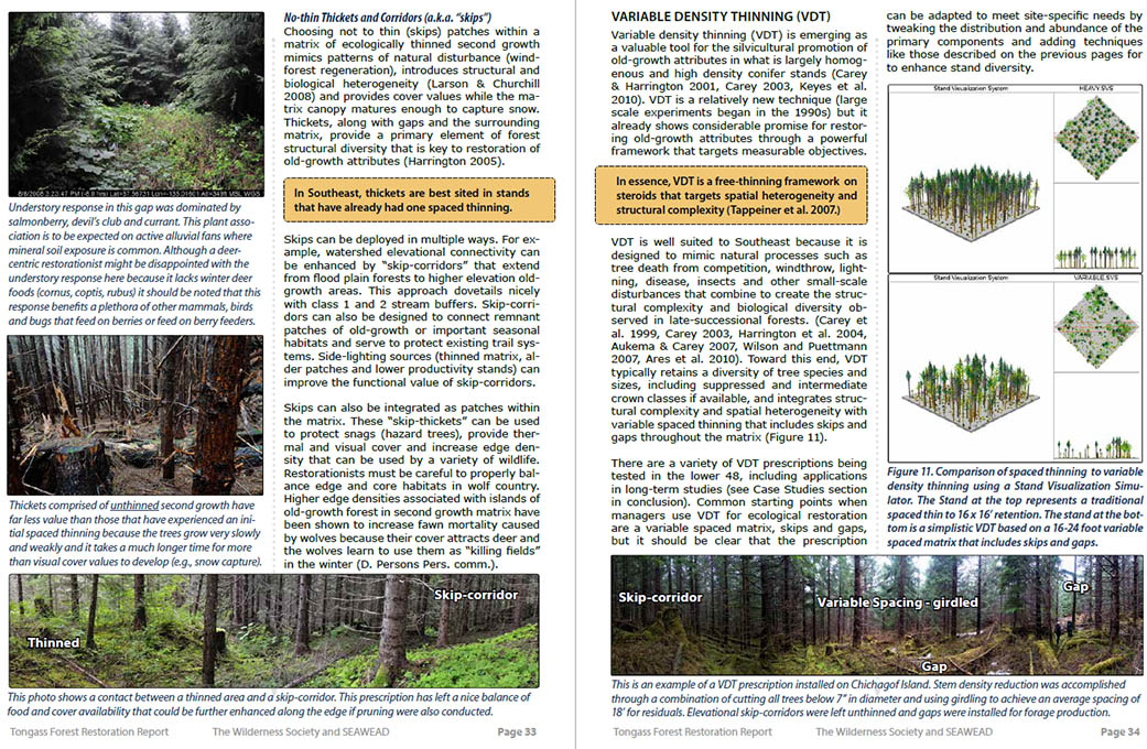 Forest restoration in the Tongass: Why, how, and where | JuneauNature