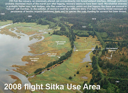 2008 flight over Sitka use area | JuneauNature
