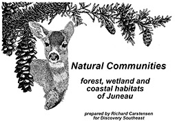 Nature near the schools: Natural communities | JuneauNature