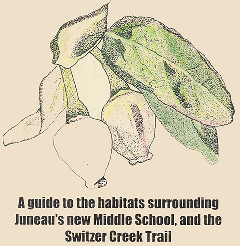 1996 student publication on forests near Dzantik’i Héeni | JuneauNature