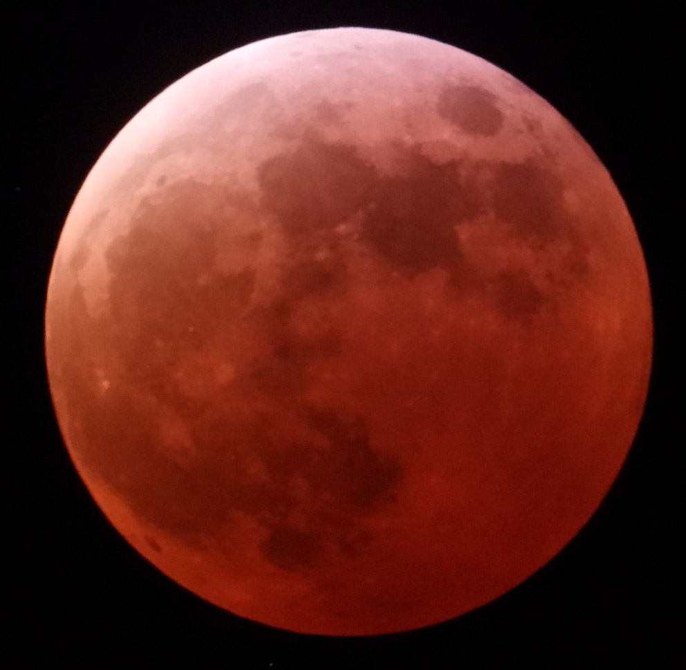 Eclipse from the goat camera | JuneauNature